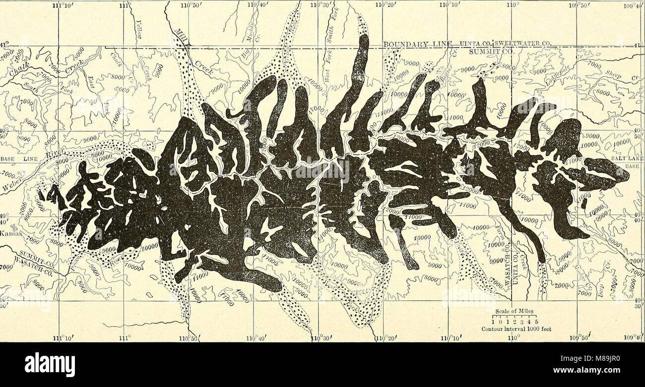 This work from 1911 explores the relationship between forest ...