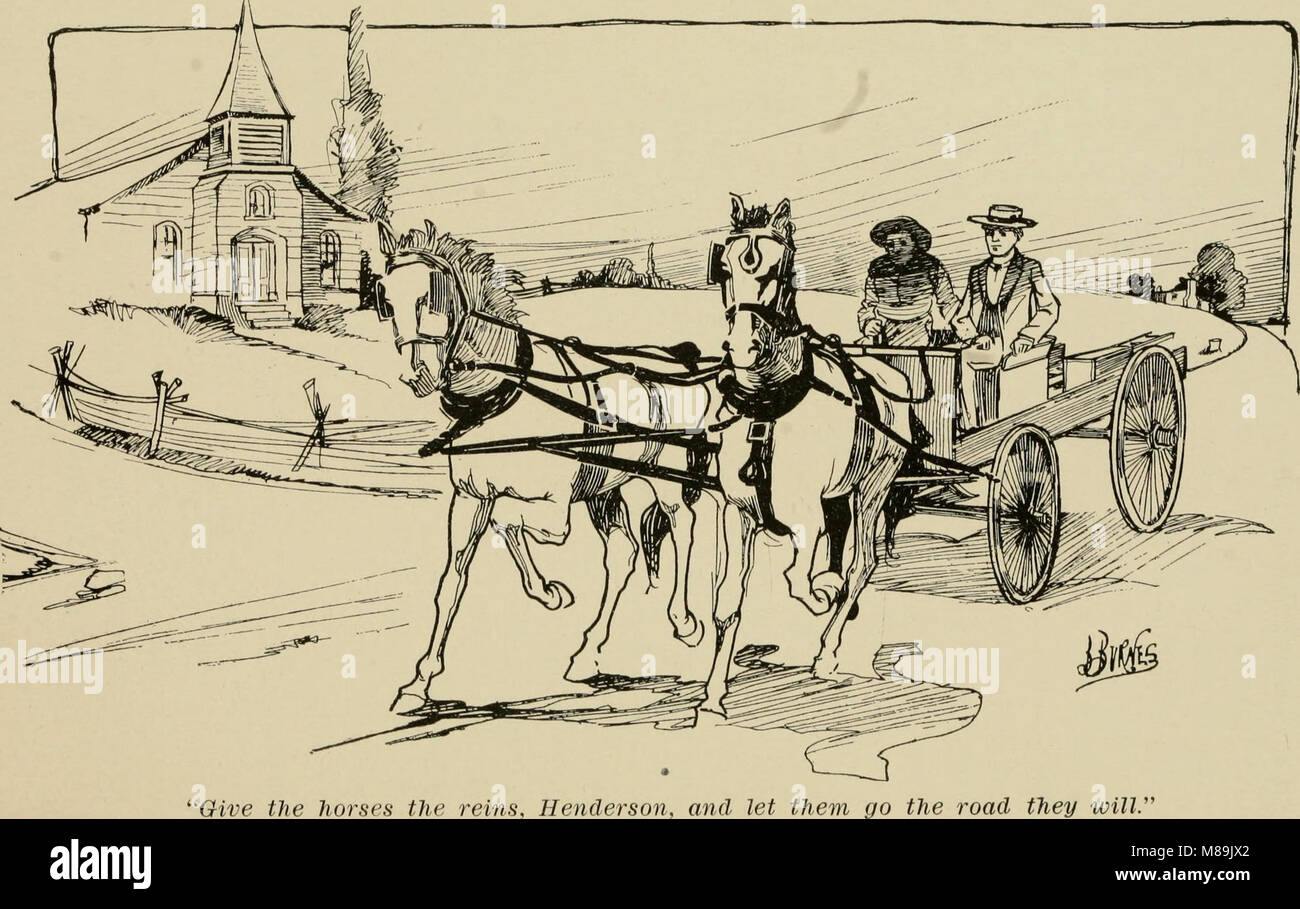 'Forget-me-nots of the Civil War' (1909) is a historical romance ...