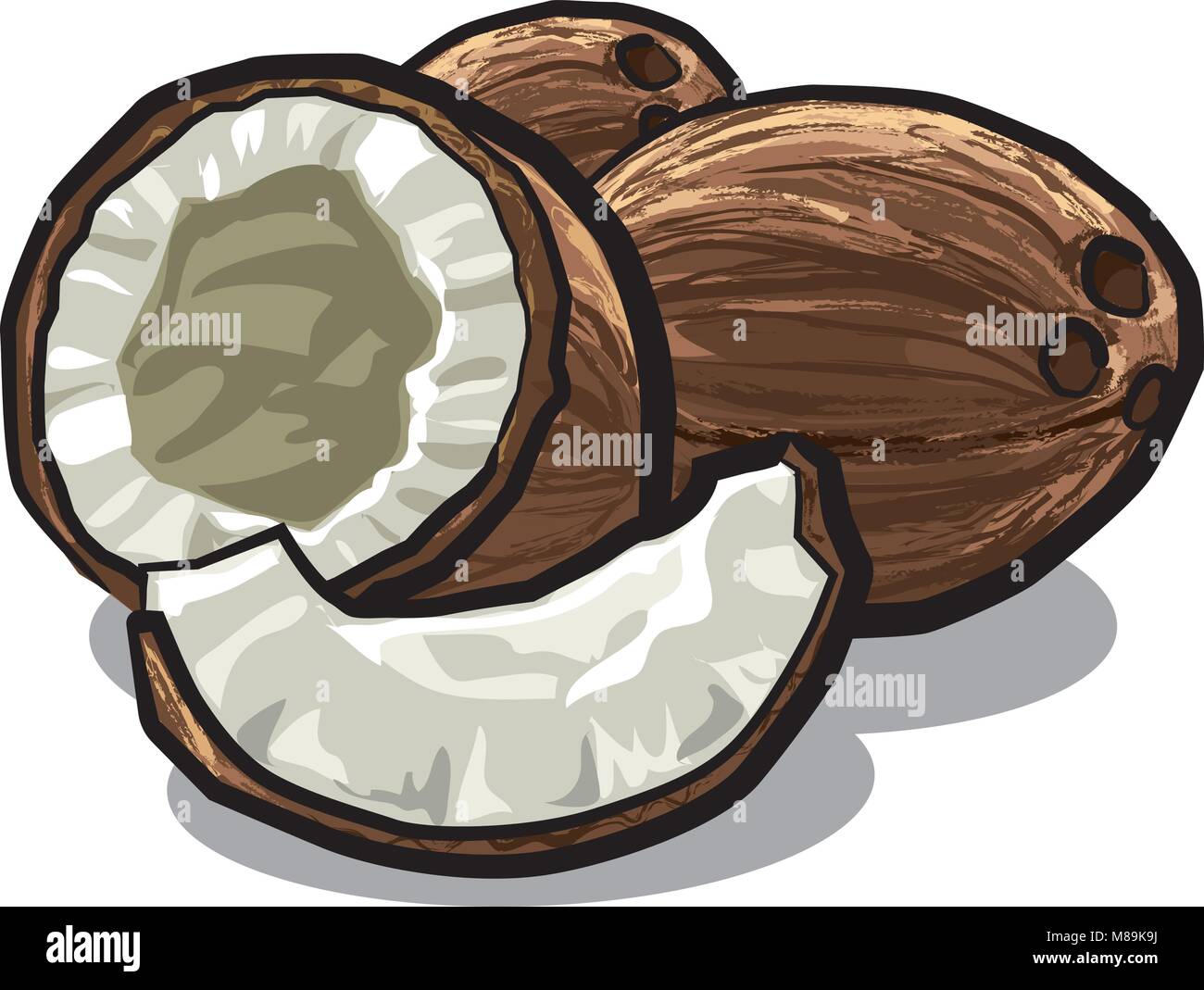 illustration of cracked coconuts on white background Stock Vector Image ...