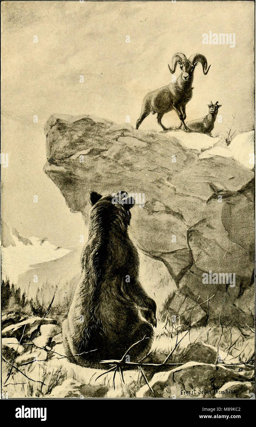 *Four-footed Americans and Their Kin* (1898) explores the native ...