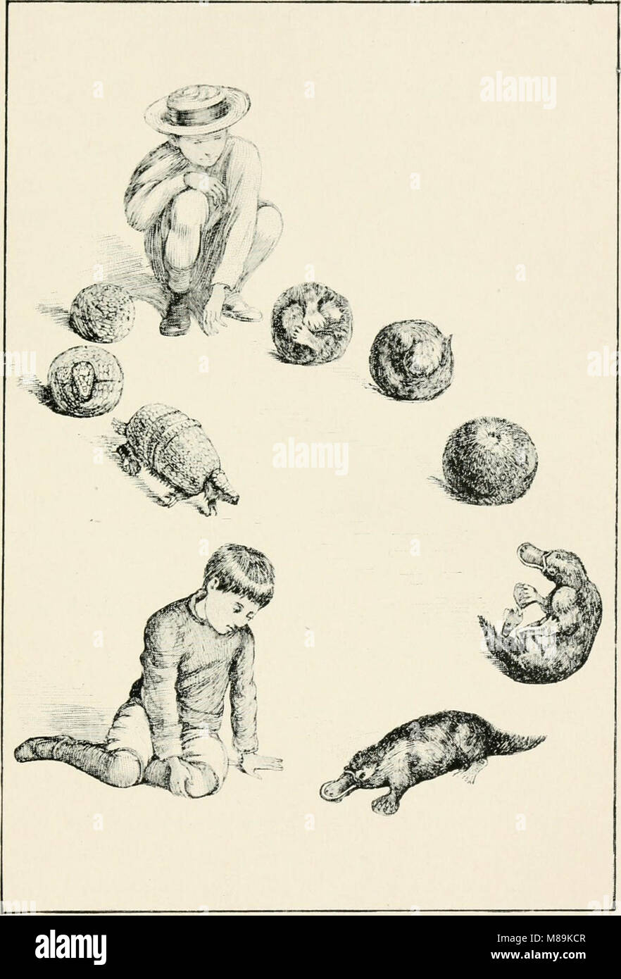 Four-handed folk (1896) (14596904577 Stock Photo - Alamy