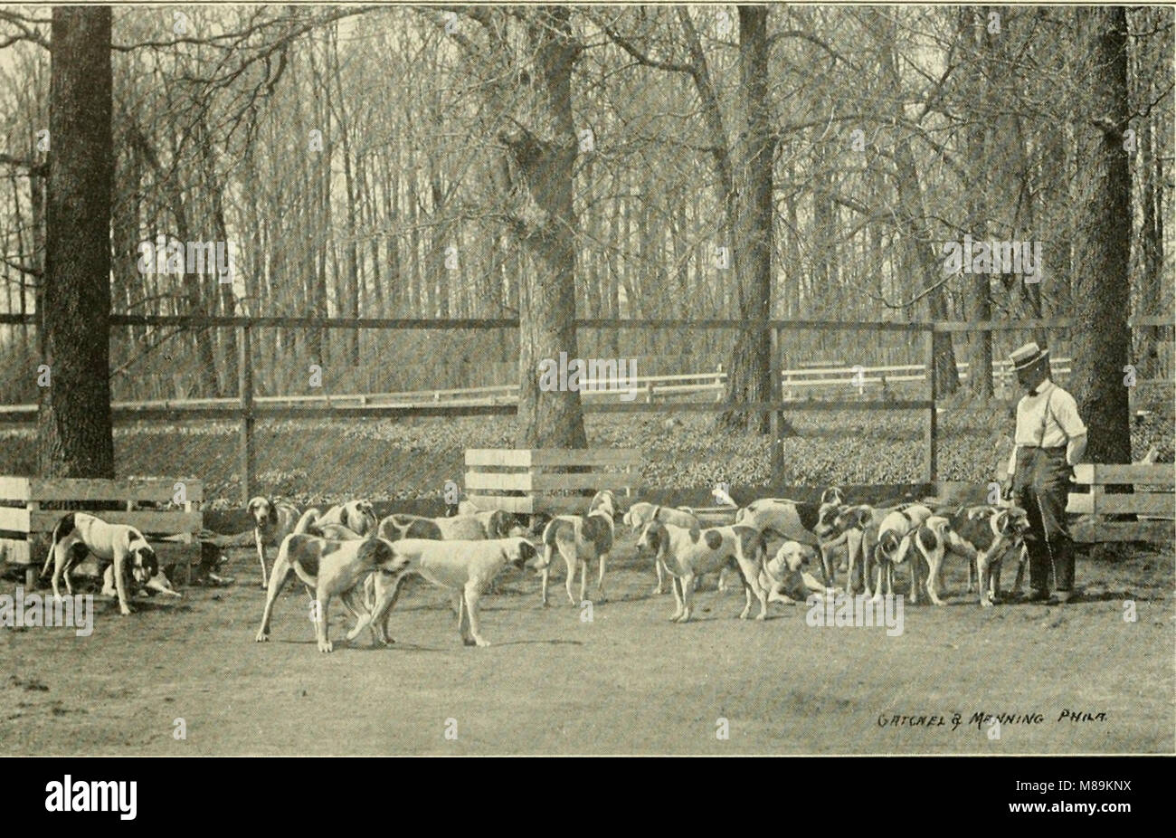Pennsylvania fox hunting hi-res stock photography and images - Alamy