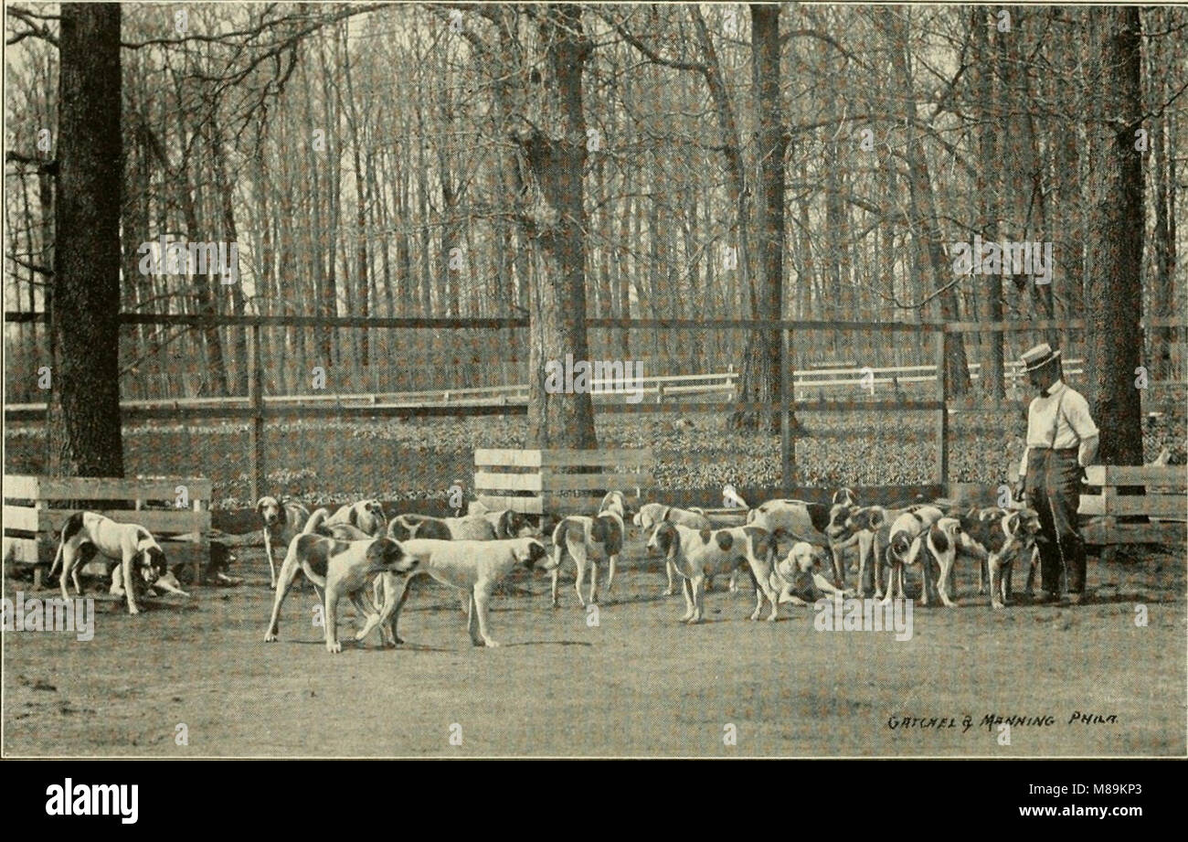 This document explores the history of fox hunting in Delaware County ...