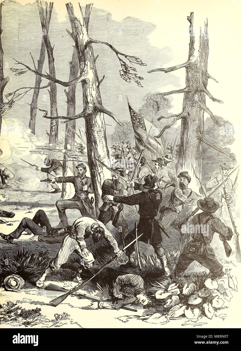 This 1894 publication provides a visual representation of the American ...