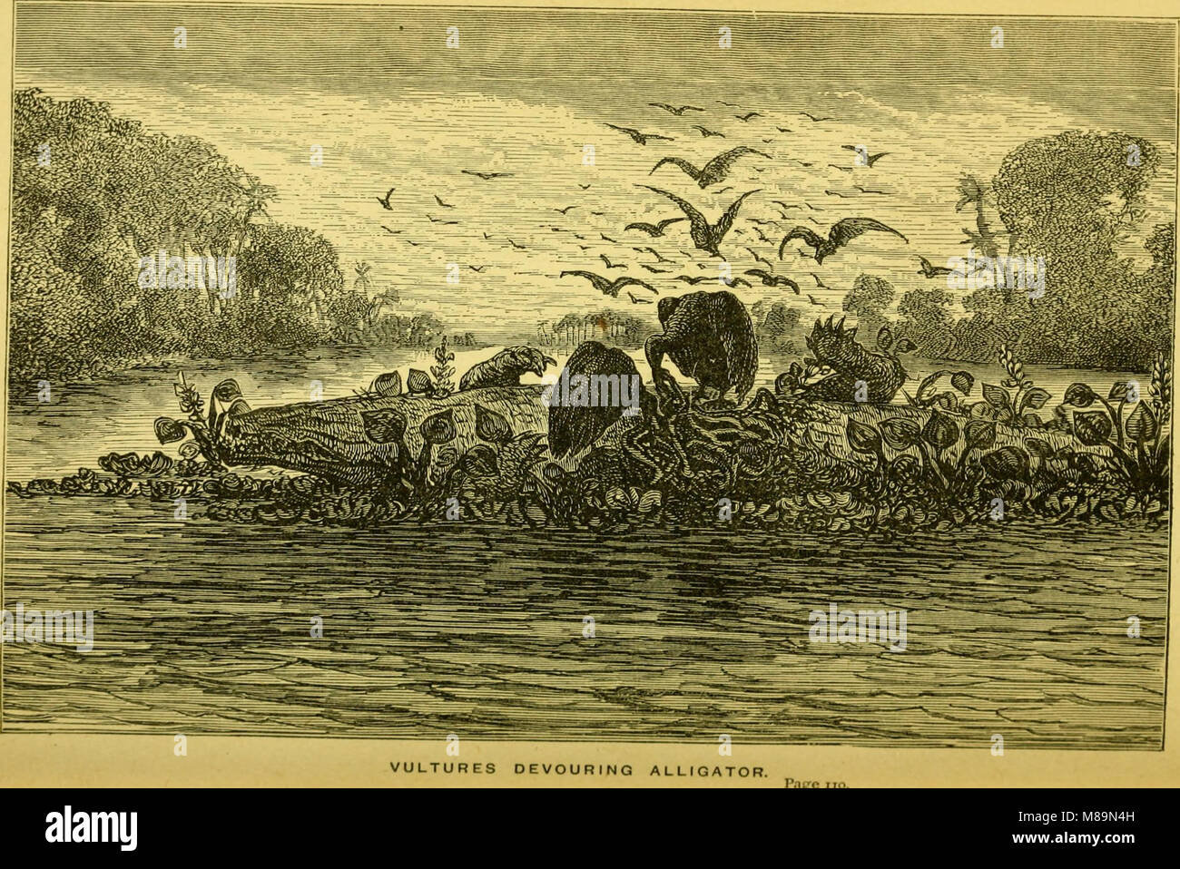 'Frank Radcliffe' (1884) recounts the adventures of a traveler in the ...