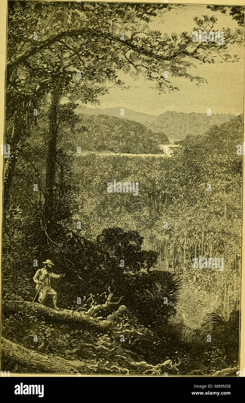 Frank Radcliffe; a story of travel and adventure in the forests of ...