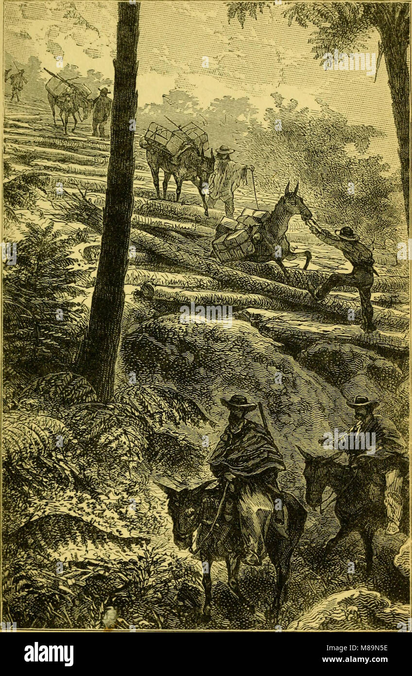 *Frank Radcliffe; A Story of Travel and Adventure in the Forests of ...