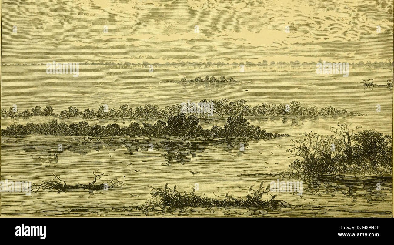 Frank Radcliffe; a story of travel and adventure in the forests of ...