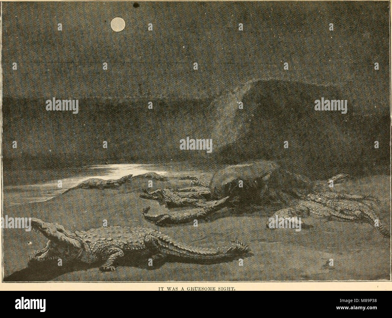 This 1902 account chronicles the first successful journey across Africa ...