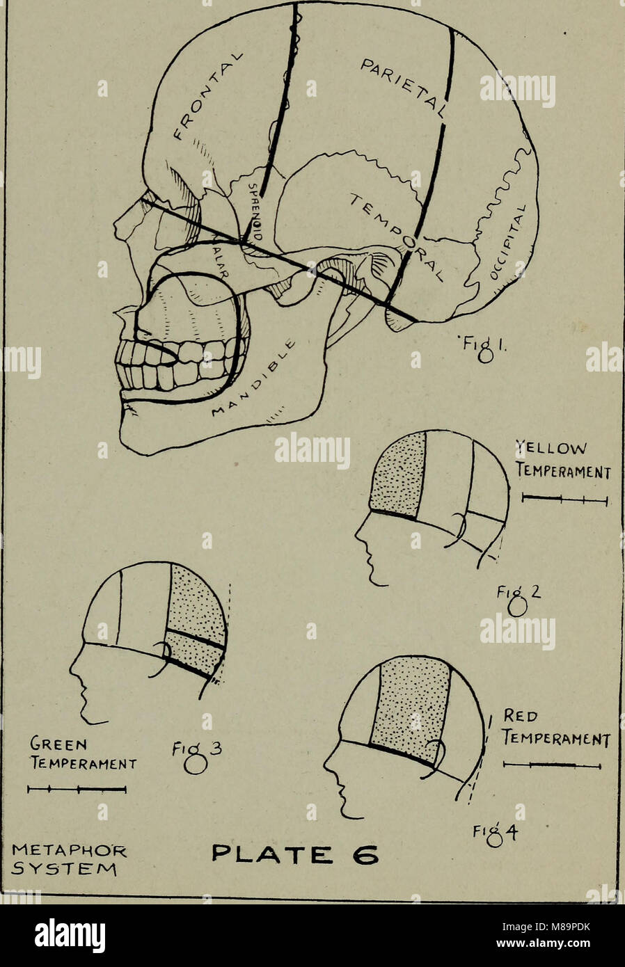 'Fundamental Character Analysis' (1922) focuses on the methods of ...