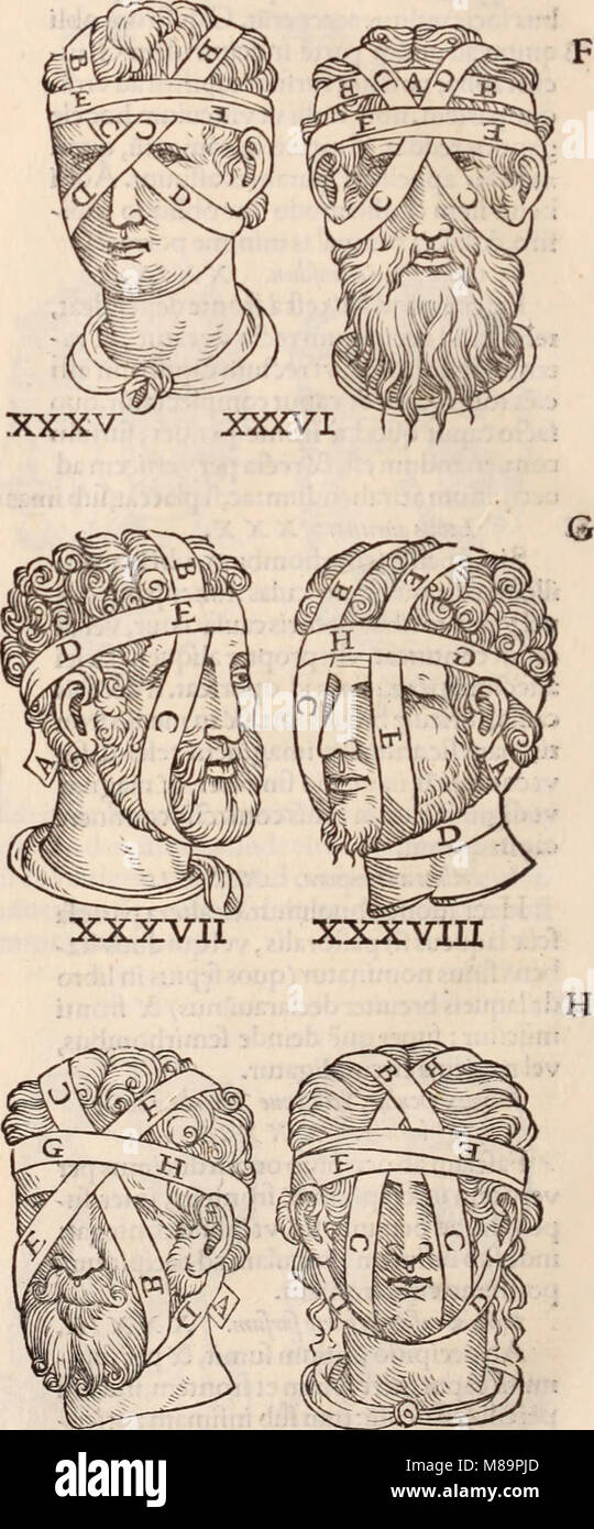 Galen's anatomy hi-res stock photography and images - Alamy