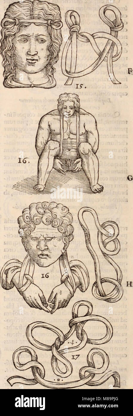 Galen's anatomy hi-res stock photography and images - Alamy