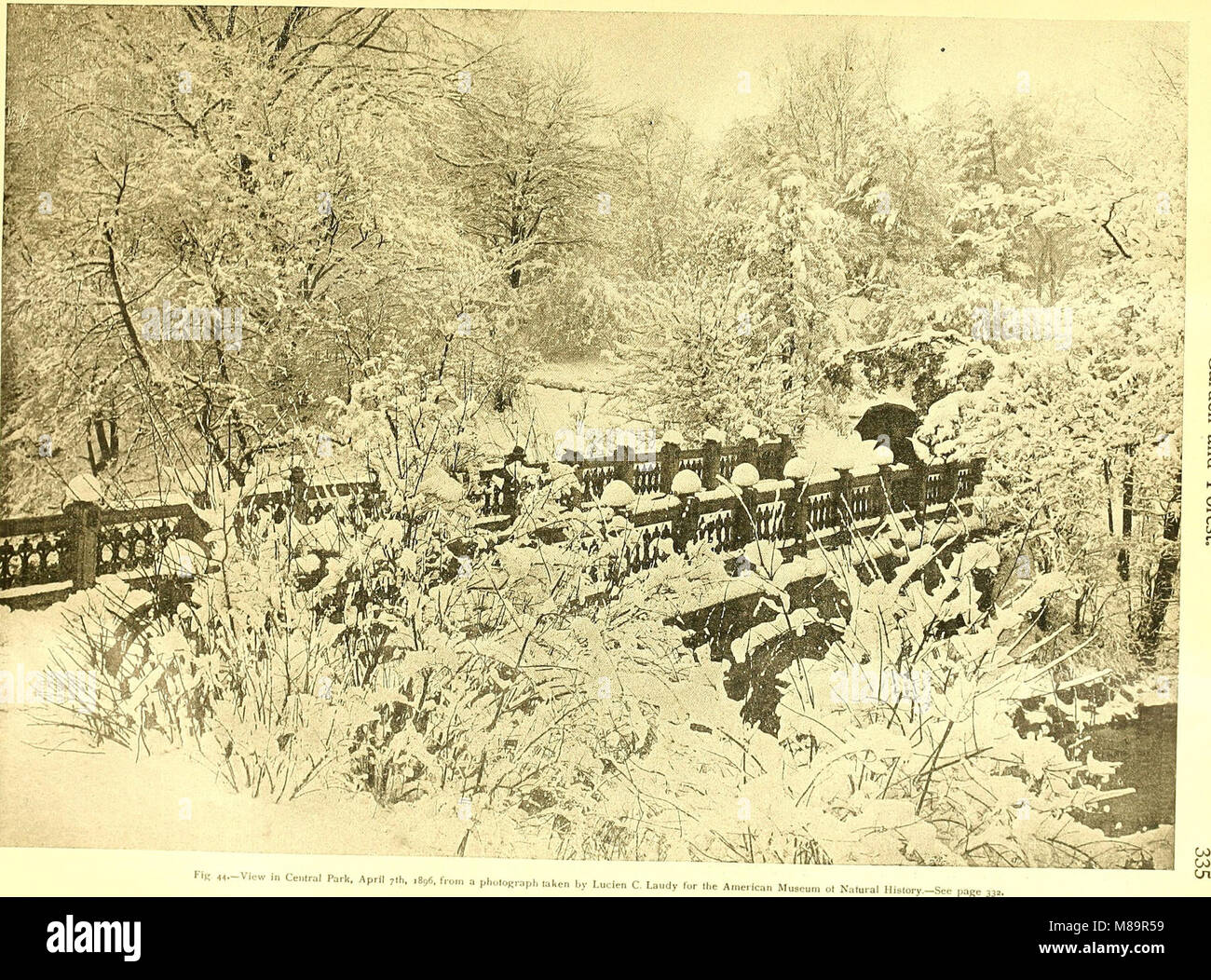 'Garden and Forest' (1896) is a journal dedicated to the fields of ...
