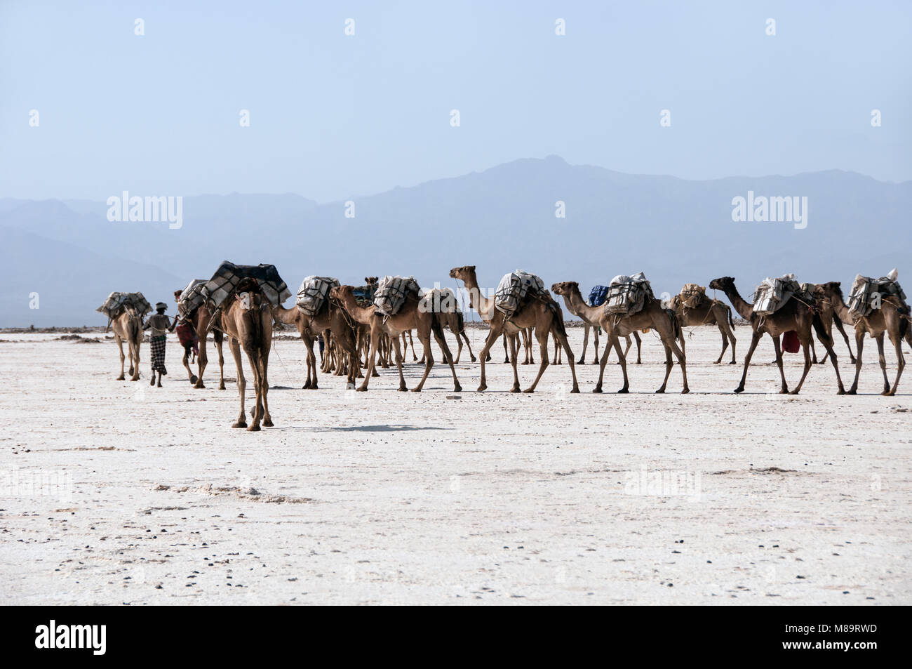Camel load african desert hi-res stock photography and images - Alamy