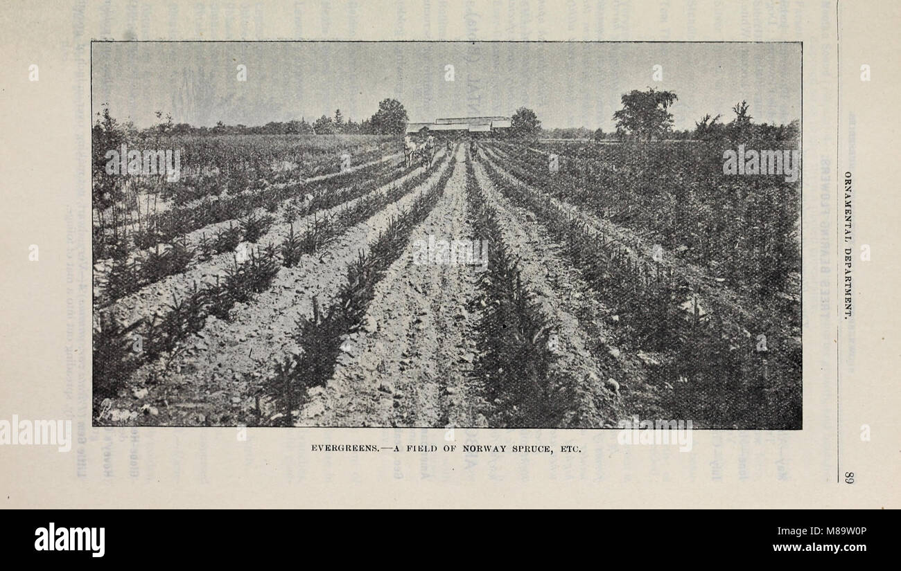 The 1900 General Catalogue features a wide range of fruit and ...