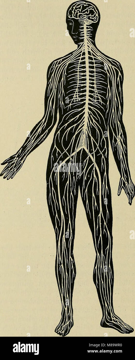 'General Physiology' (1899) presents a comprehensive overview of ...