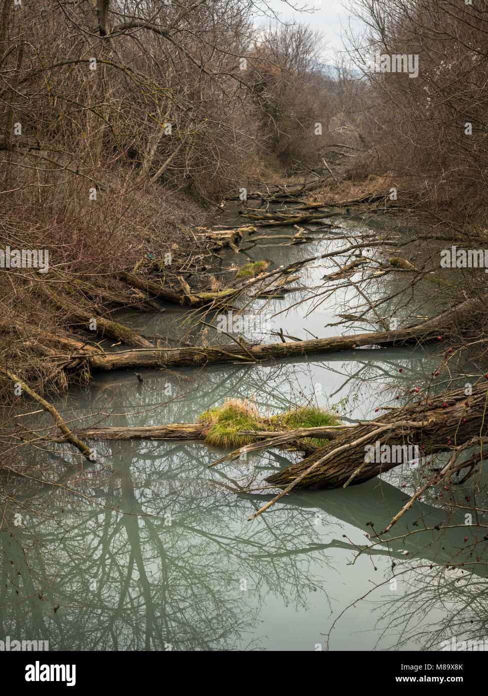 Arm of a river hi-res stock photography and images - Alamy