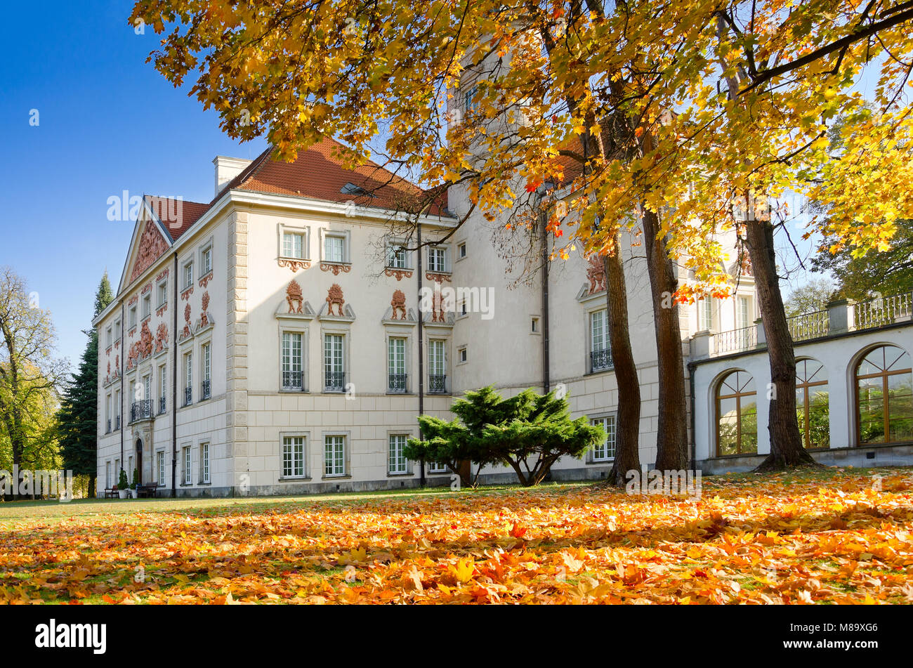 Bielinski family palace (17th century). A baronial residence complex in ...