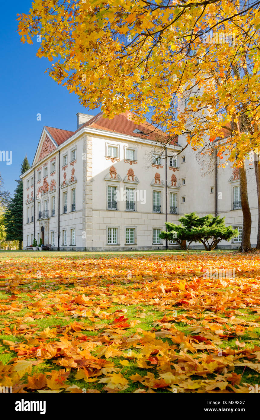 Bielinski family palace (17th century). A baronial residence complex in ...