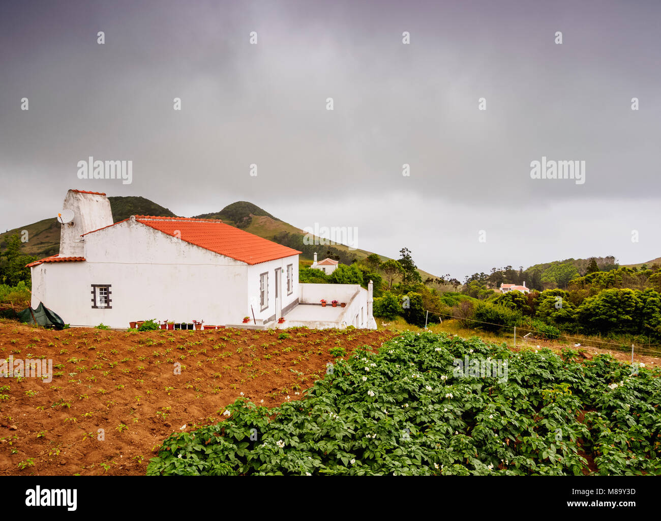 Traditional Architecture, Santa Maria Island, Azores, Portugal Stock ...