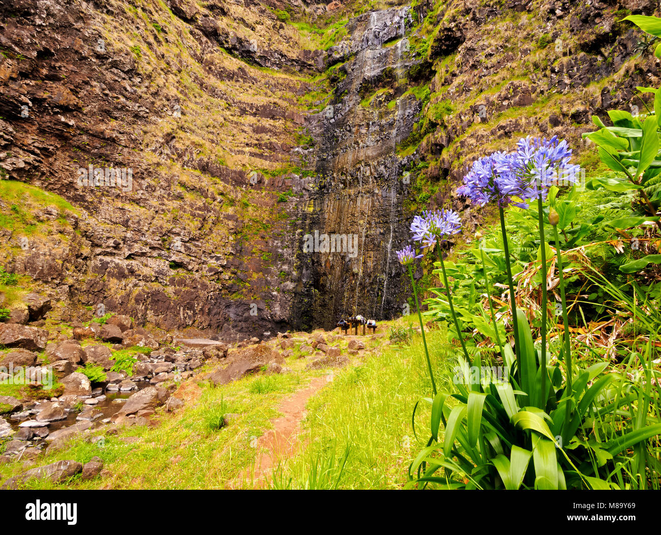 Cascata de Aveiro, waterfall, Maia, Santa Maria Island, Azores ...
