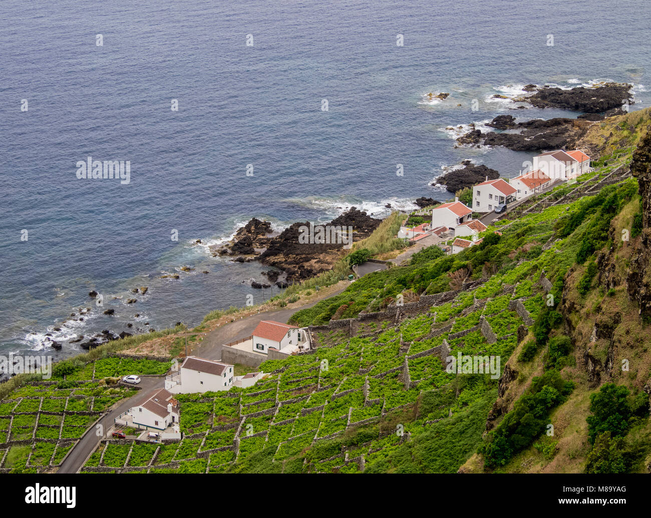Vineyards of Maia, elevated view, Santa Maria Island, Azores, Portugal ...