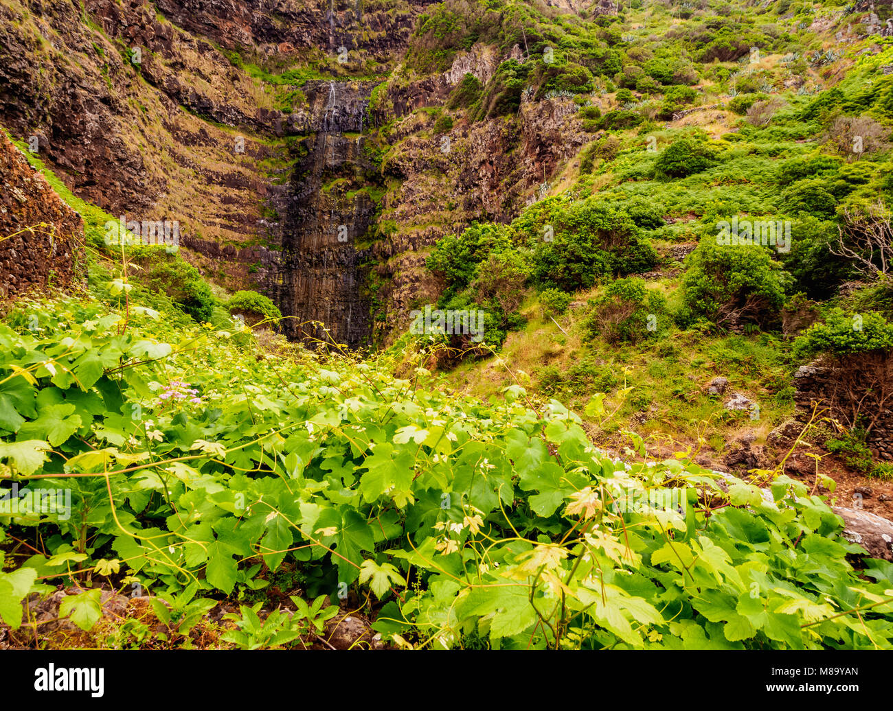 Cascata de Aveiro, waterfall, Maia, Santa Maria Island, Azores ...