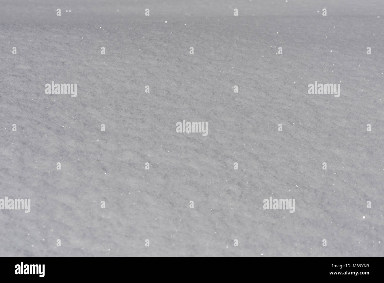 fresh snow close up background in winter forest landscape nature in ...