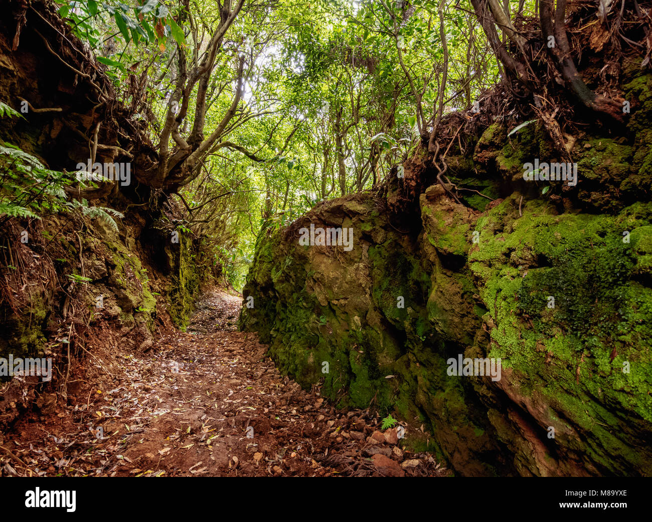 Pico alto santa maria hi-res stock photography and images - Alamy