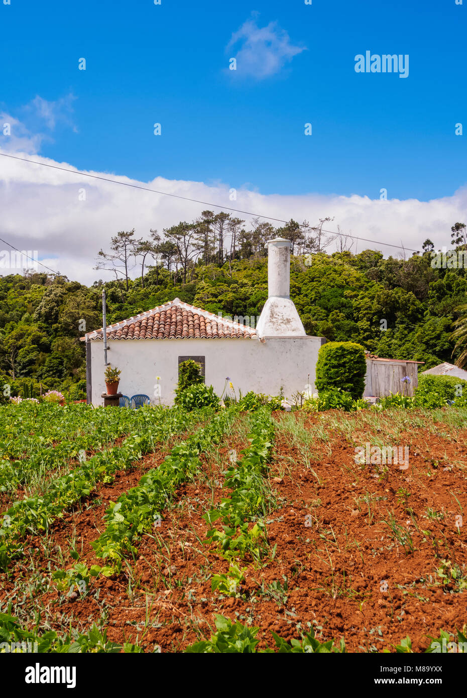 House For Sale Santa Maria Island Azores at Spencer Weedon blog