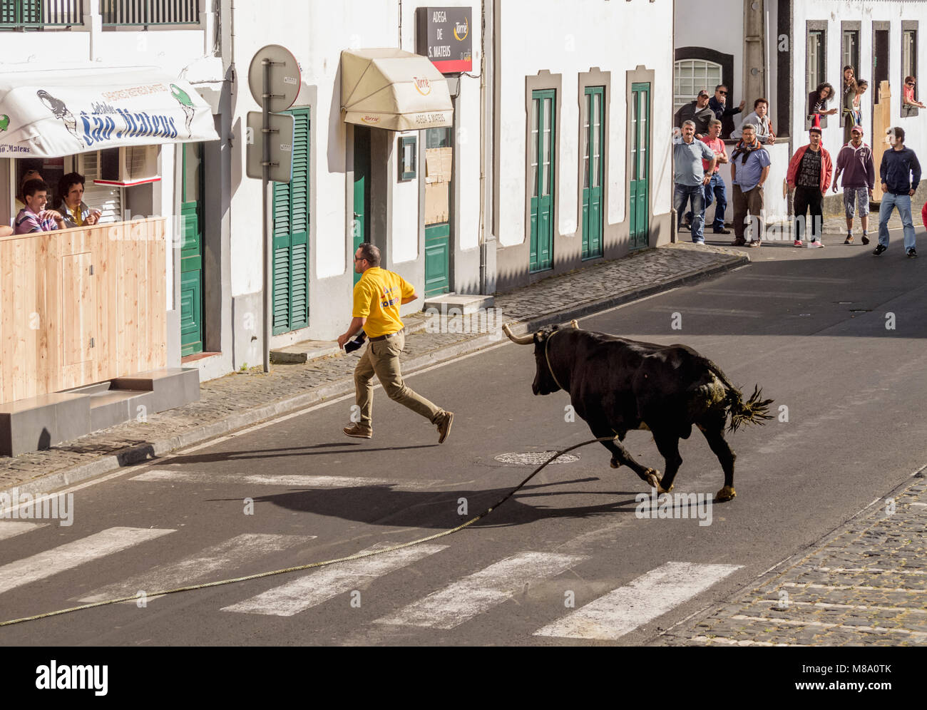 Bullfighting on a rope hi-res stock photography and images - Alamy