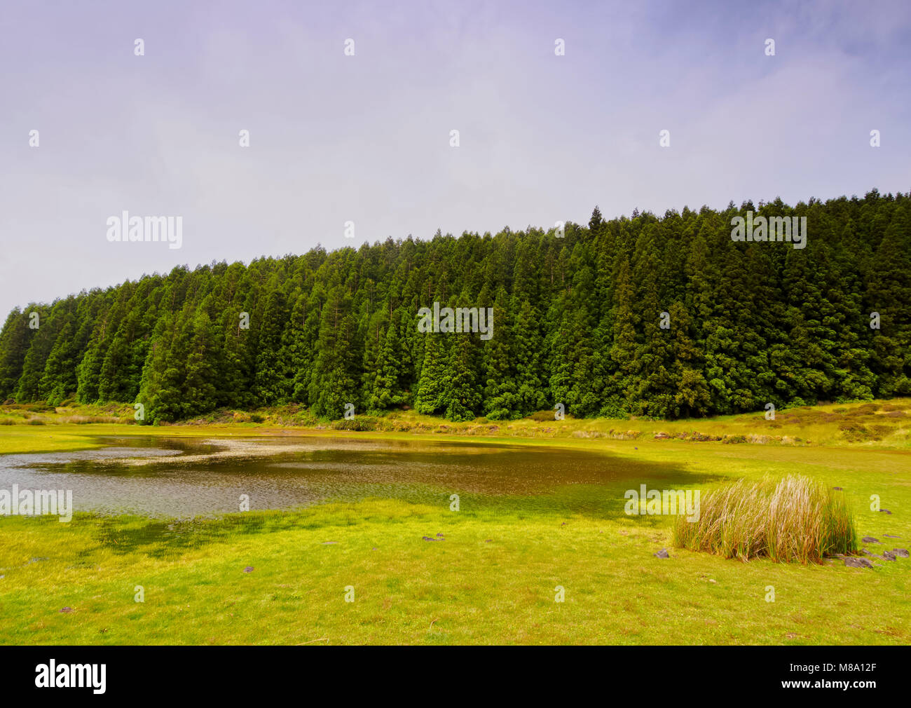 Lagoa do Negro, Terceira Island, Azores, Portugal Stock Photo - Alamy