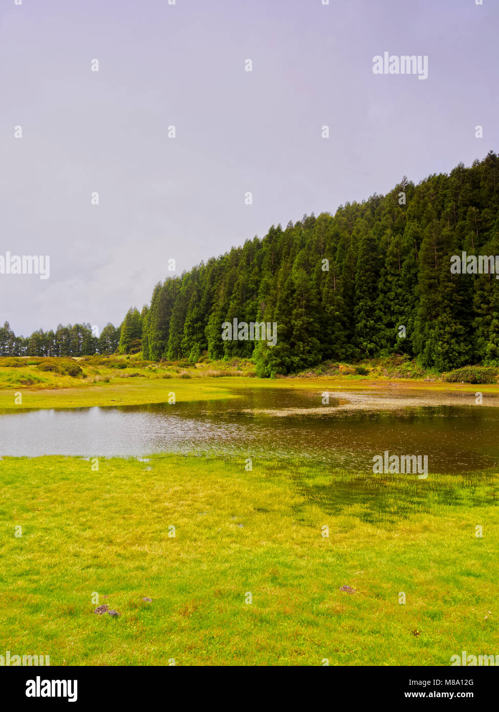 Lagoa do Negro, Terceira Island, Azores, Portugal Stock Photo - Alamy