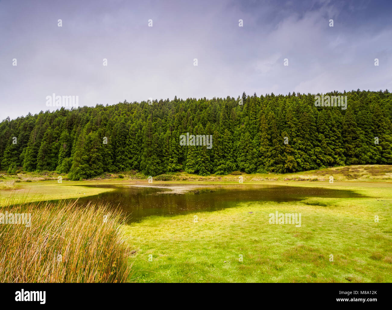 Lagoa do Negro, Terceira Island, Azores, Portugal Stock Photo - Alamy