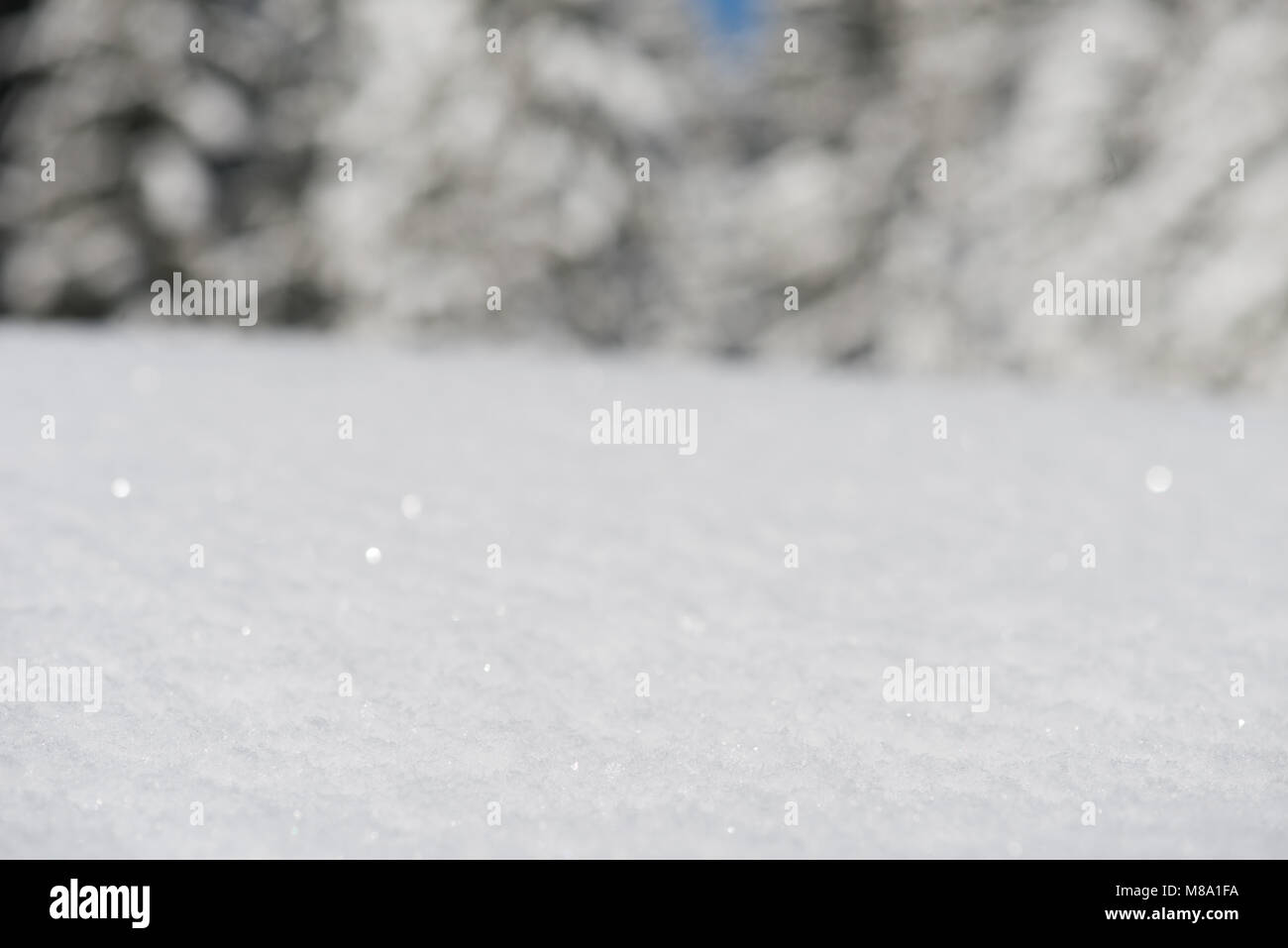 fresh snow close up background in winter forest landscape nature in ...
