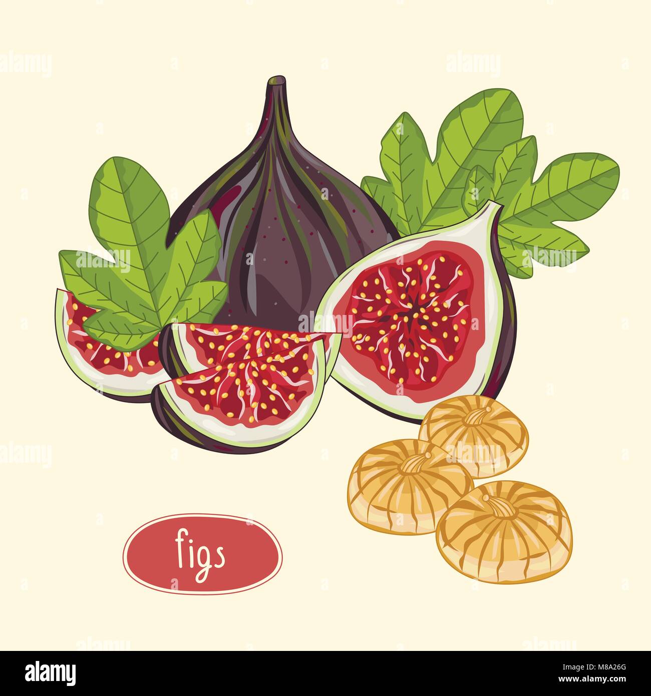 Fruit detail Stock Vector Images - Alamy