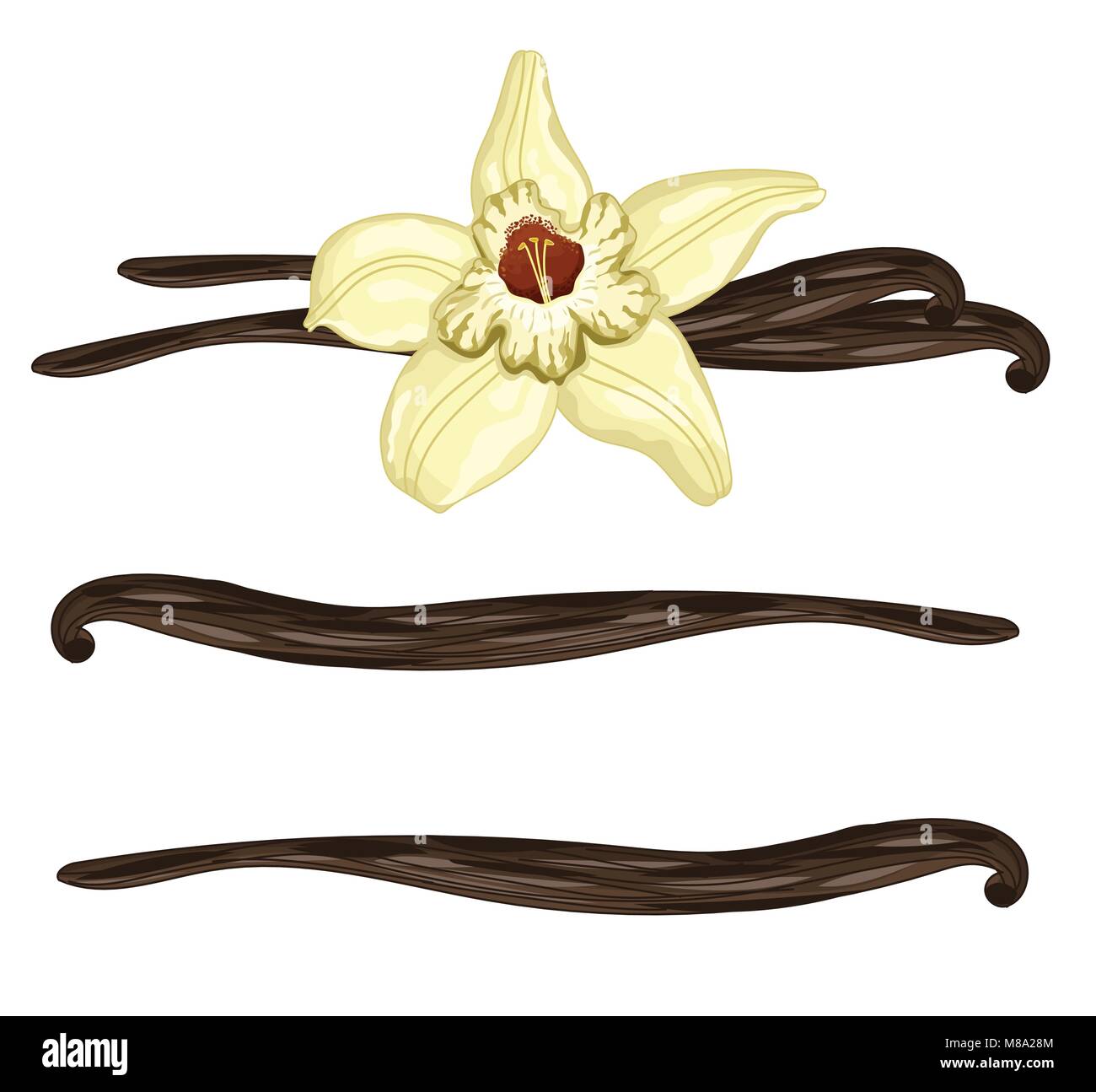 Food background dried black Stock Vector Images - Alamy