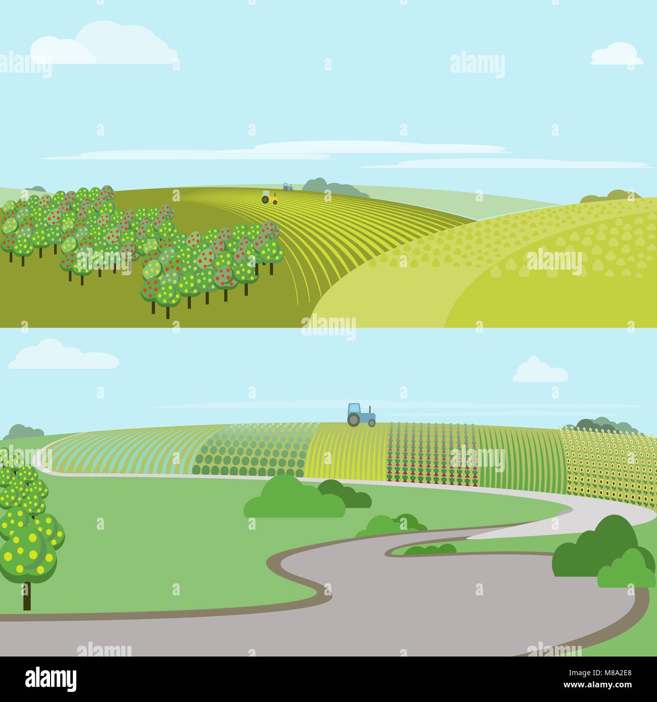 Farm field, vector illustration Stock Vector Image & Art - Alamy