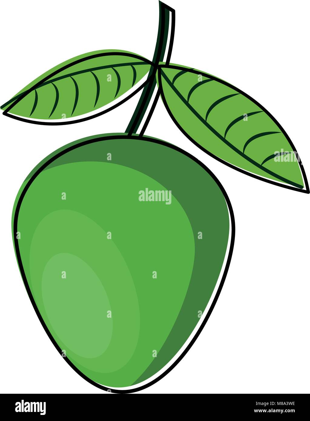 genip fruit isolated vector illustration graphic design Stock Vector ...