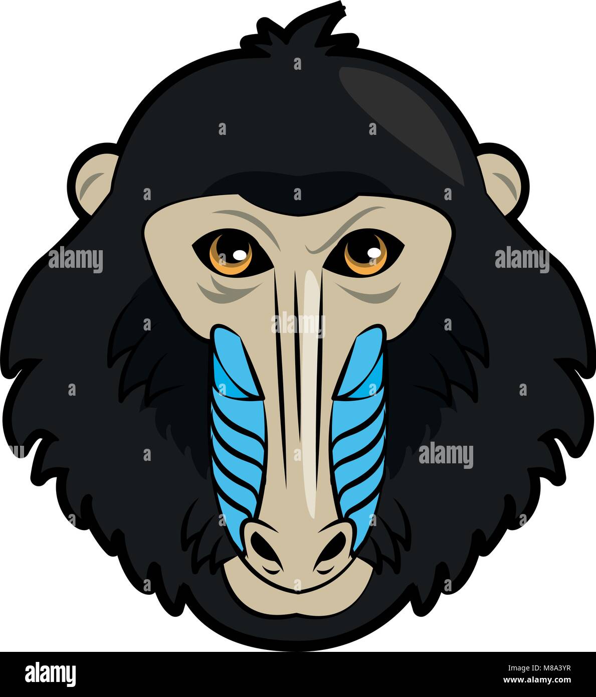 Mandrel monkey Wild animal head vector illustration graphic design Stock Vector Image & Art - Alamy