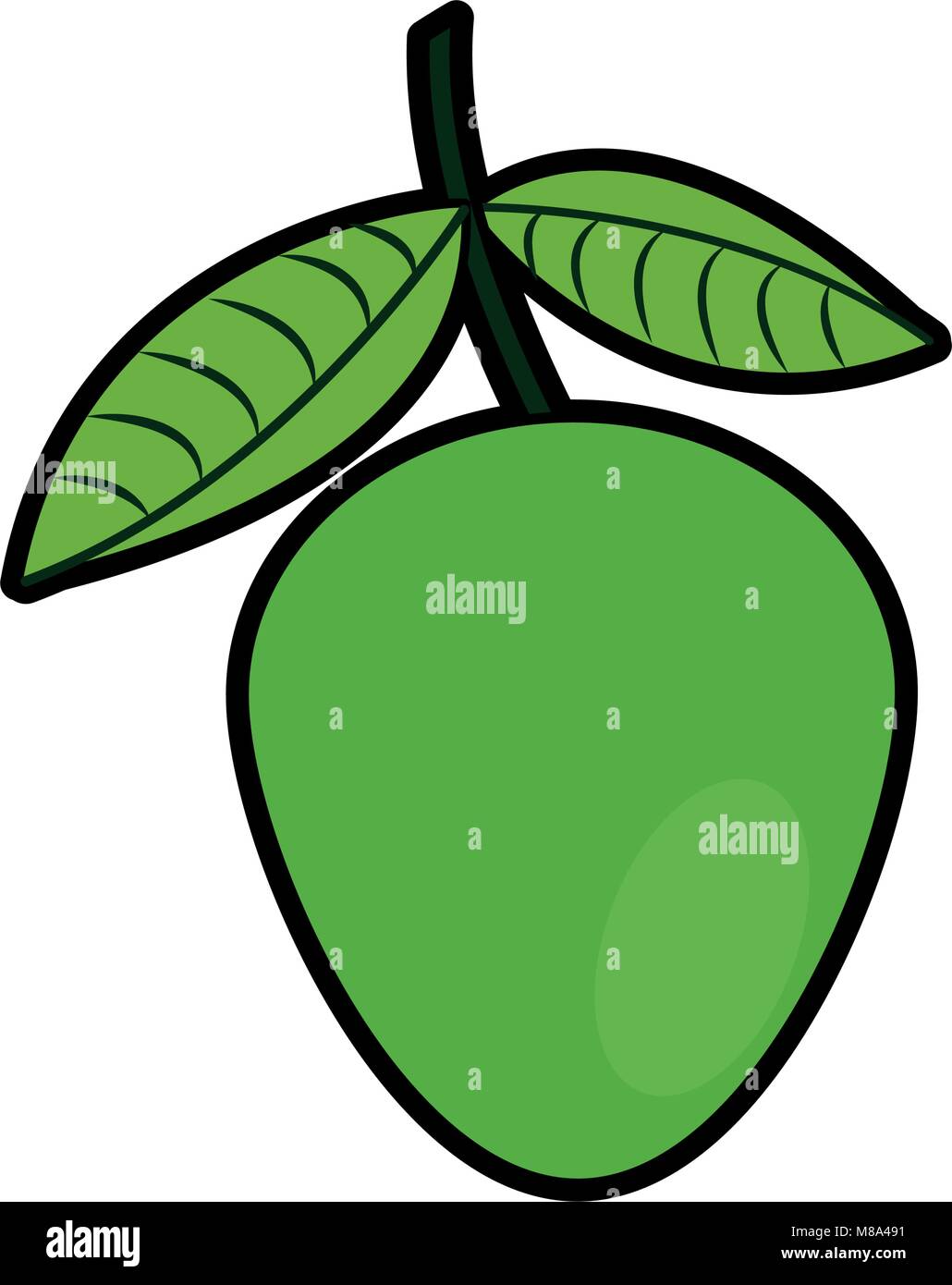genip fruit isolated vector illustration graphic design Stock Vector ...