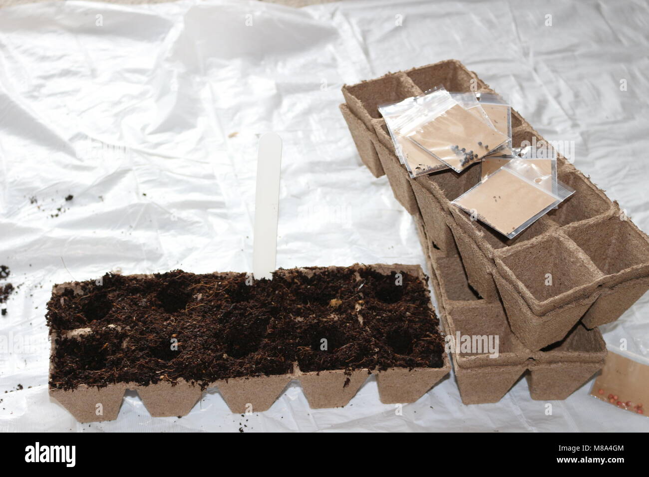 Biodegradable flowerpot hi-res stock photography and images - Alamy