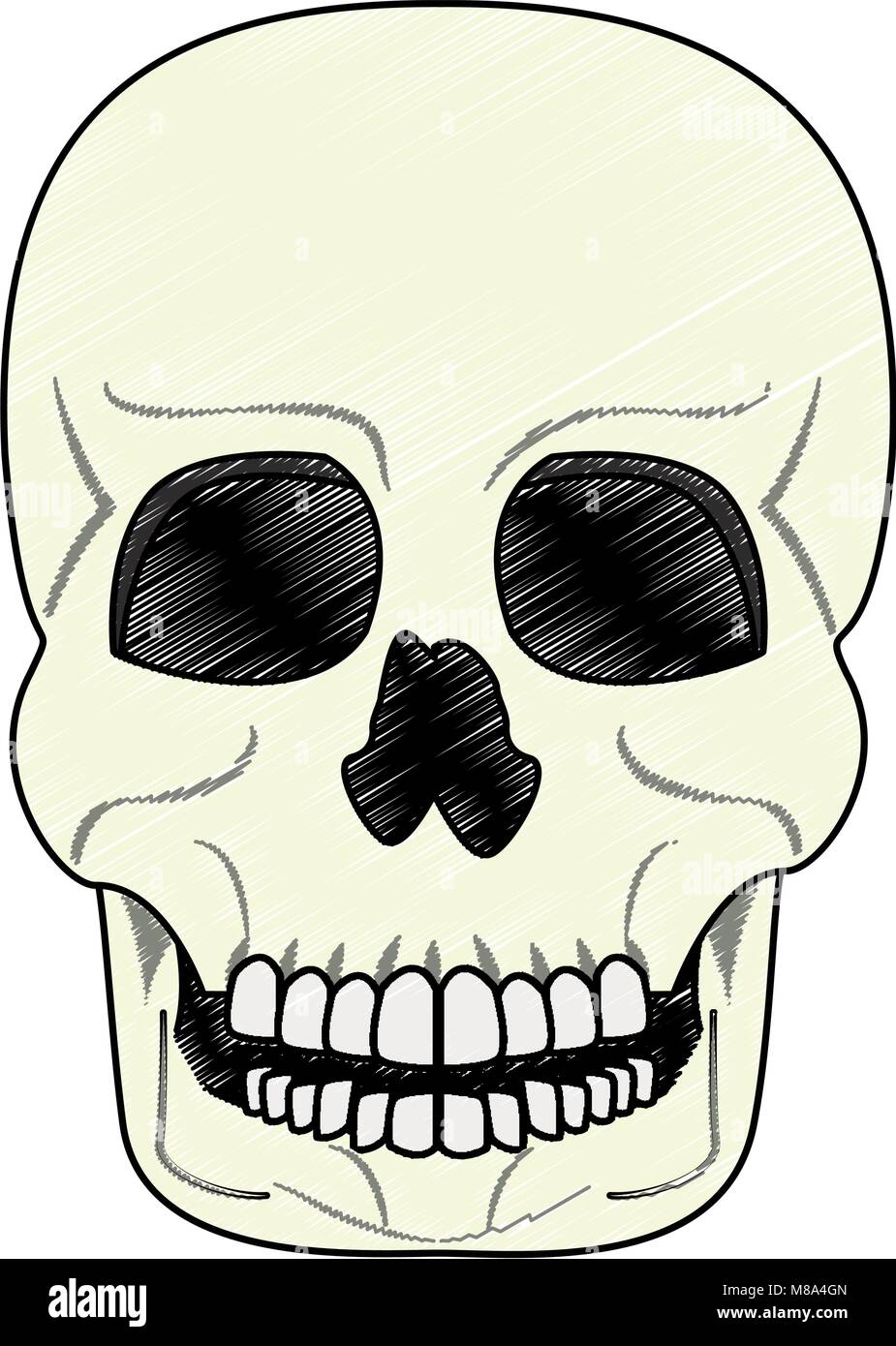 Human skull cartoon vector illustration graphic design Stock Vector ...
