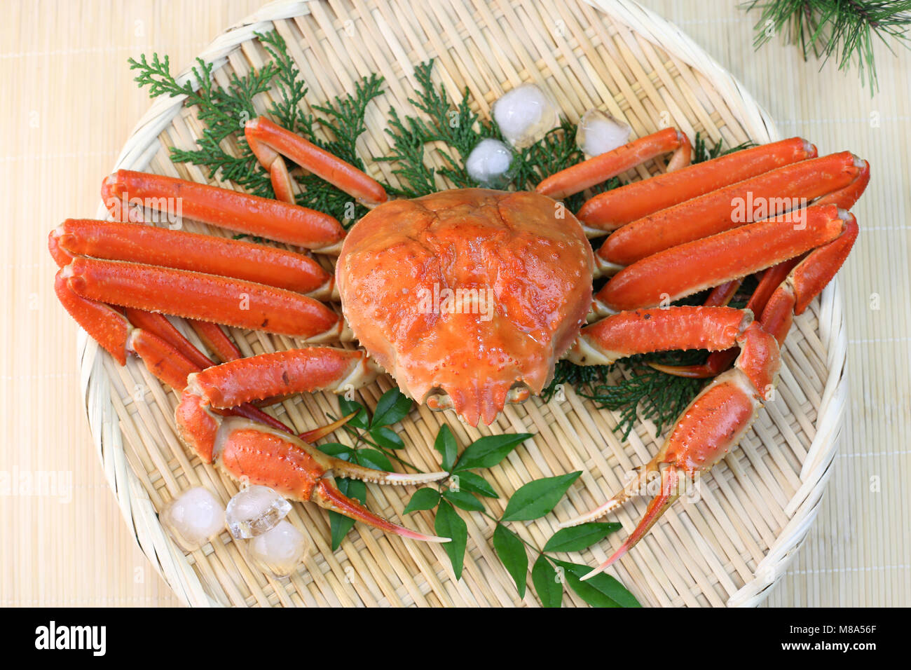 Snow crab hi-res stock photography and images - Alamy