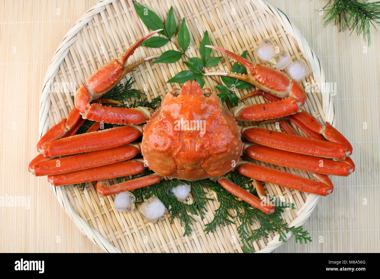Snow crab hi-res stock photography and images - Alamy