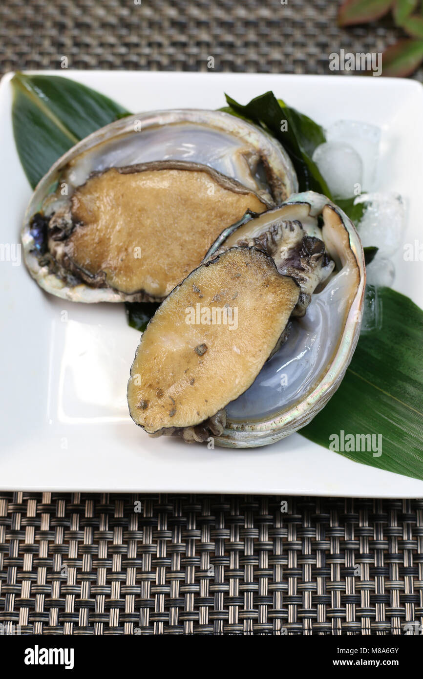 Abalones hi-res stock photography and images - Alamy