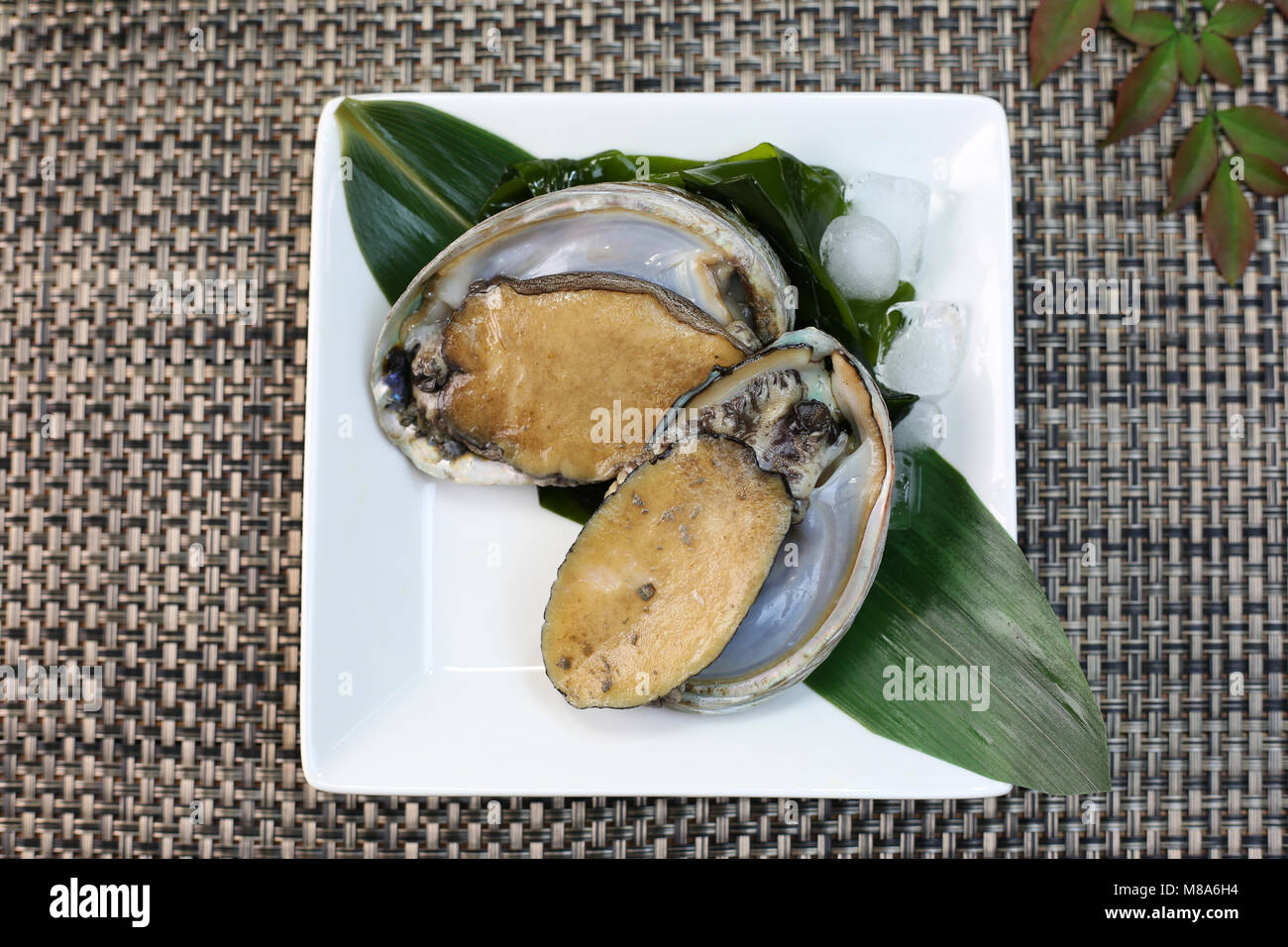 Abalones hi-res stock photography and images - Alamy