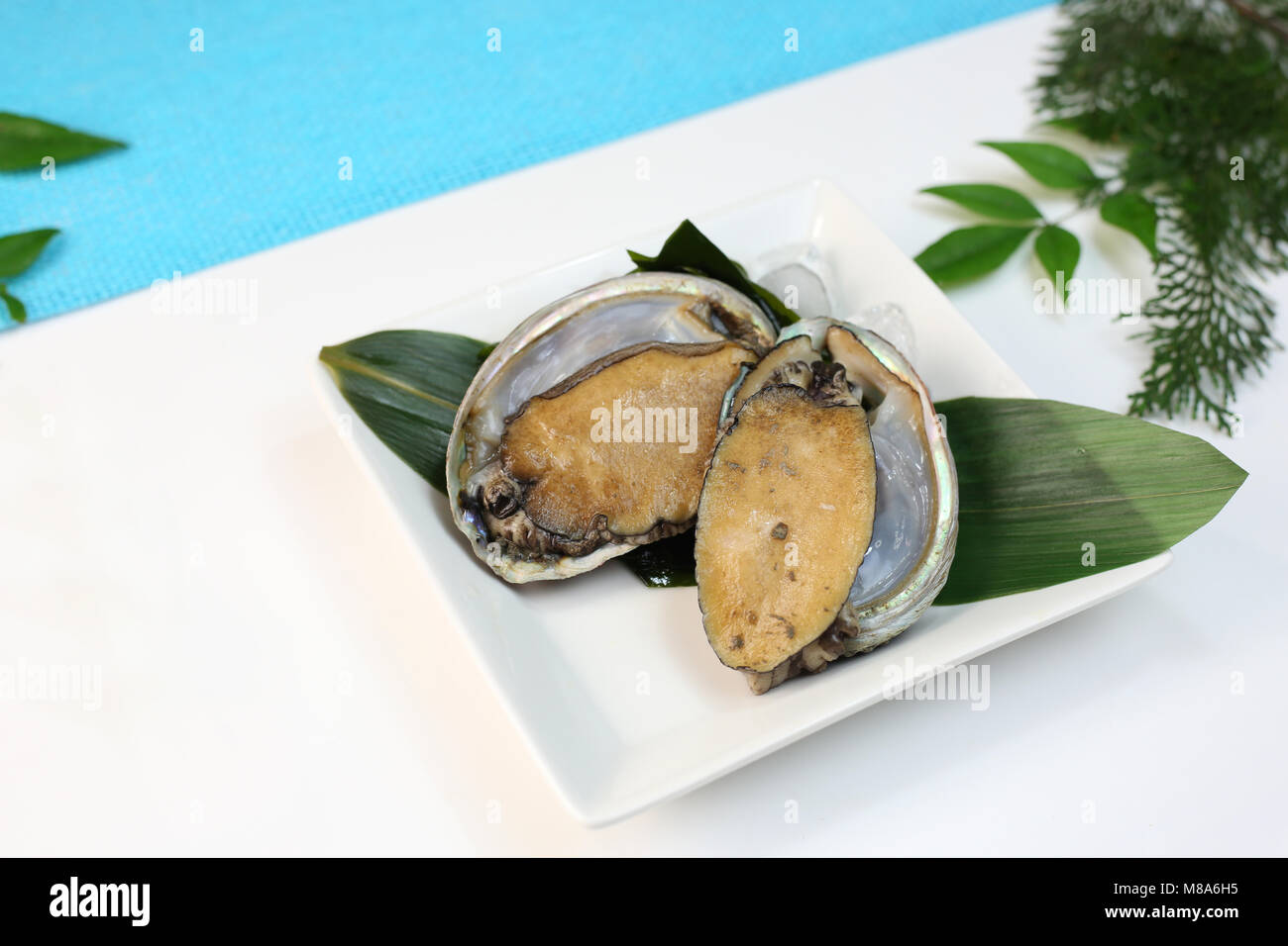 Abalones hi-res stock photography and images - Alamy