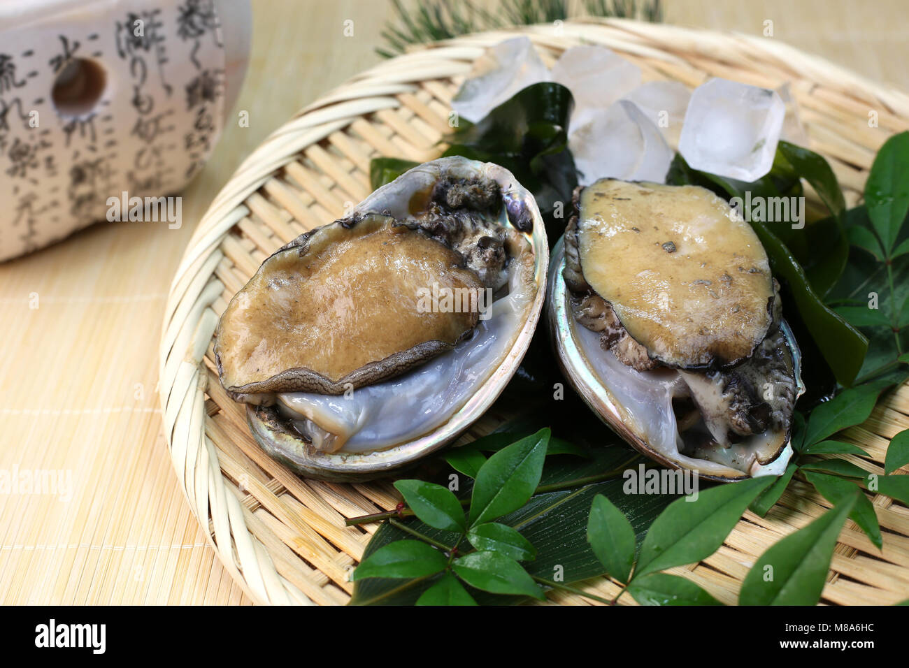 Abalones hi-res stock photography and images - Alamy