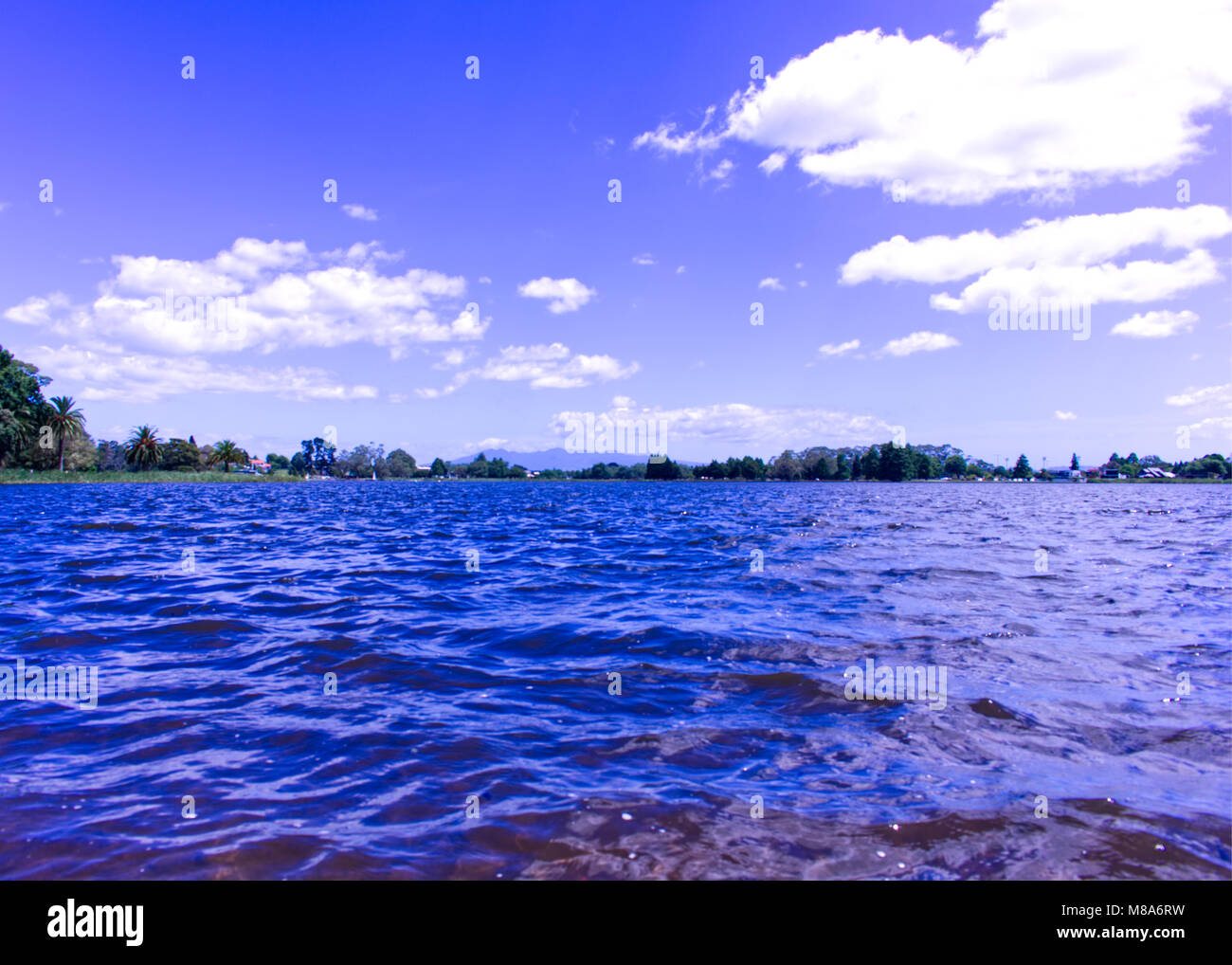 Hamilton lake , new zealand hi-res stock photography and images - Alamy